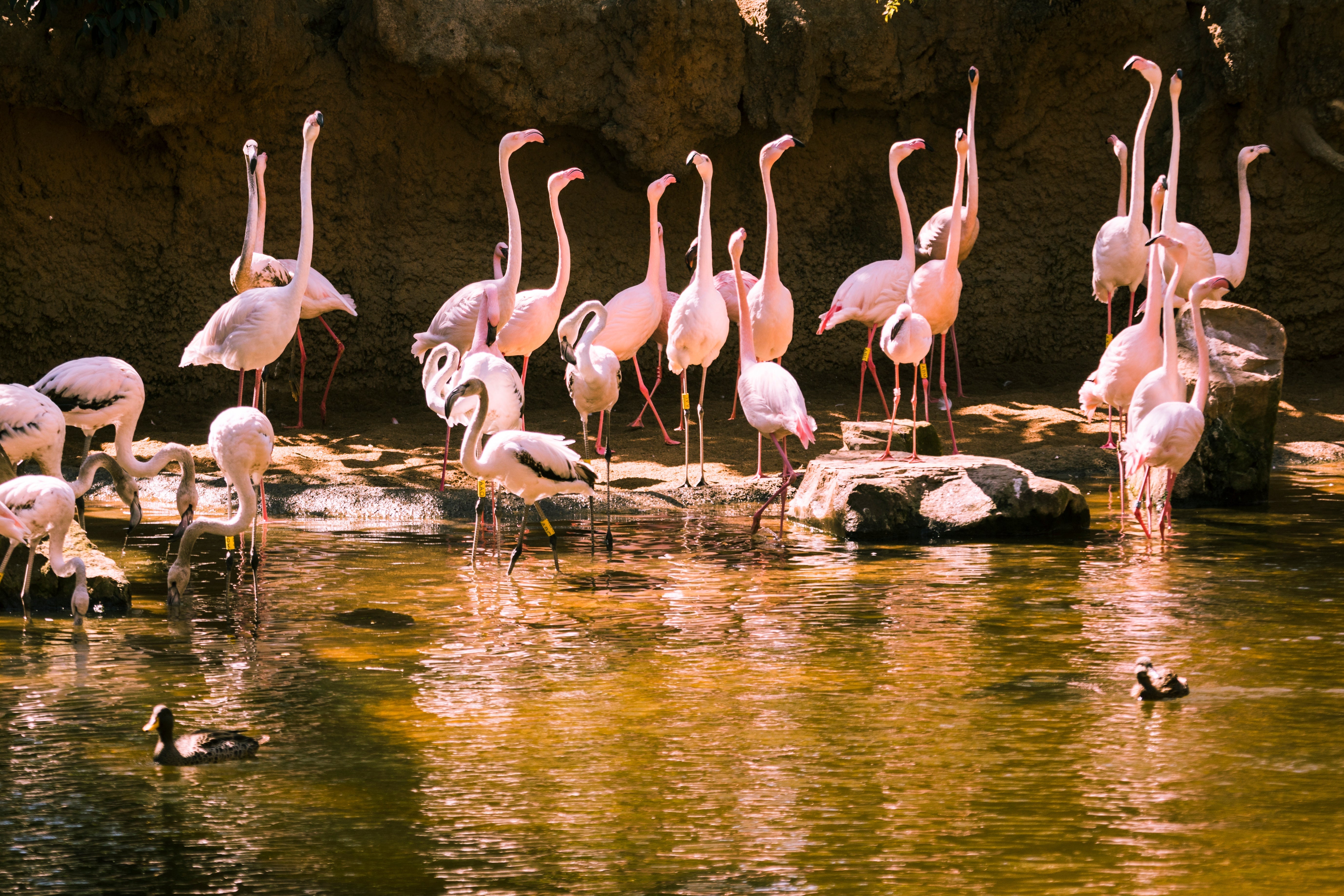 Essential Travel Tips for Madagascar: Make Your Trip Smooth & Unfo ...
