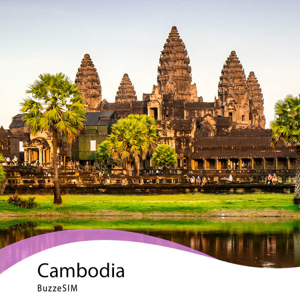 Products – BuzzeSIM