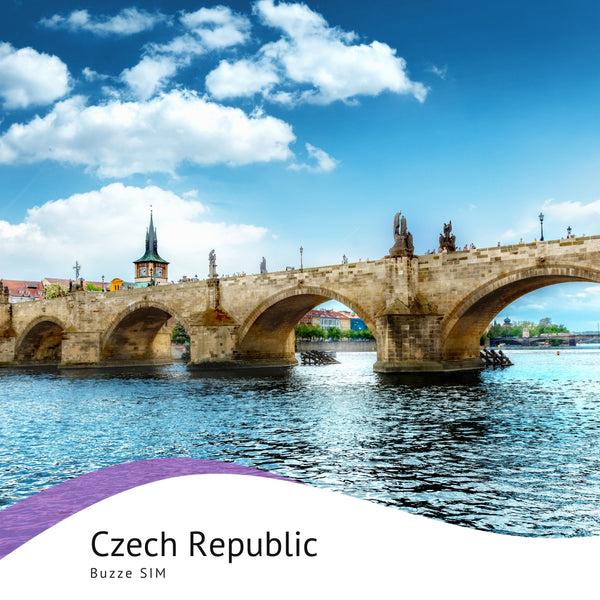 Products – BuzzeSIM