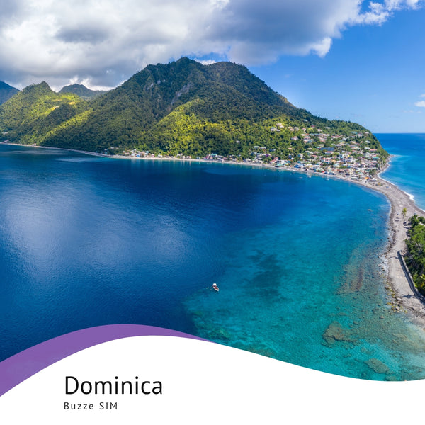 Products – BuzzeSIM